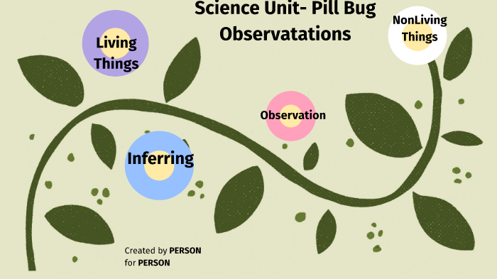 Pill Bug Observation and Living Things by Heather Taylor on Prezi