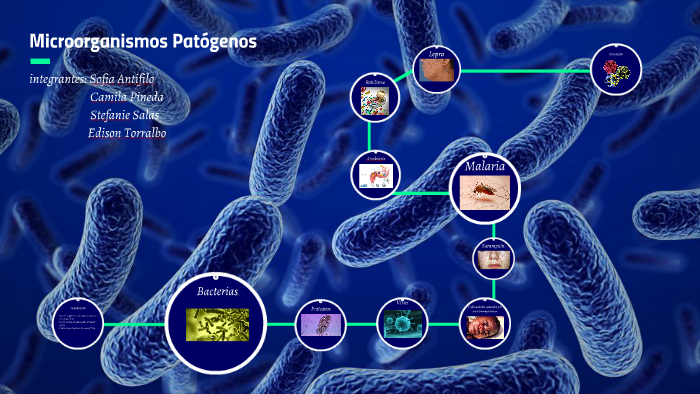 Microorganismos Patógenos by edison torralbo mendez on Prezi