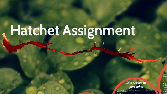 Brain hatchet assignment by Bella Sargeant on Prezi
