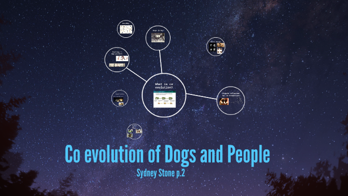 Co evolution of Dogs and People by Sydney Stone on Prezi