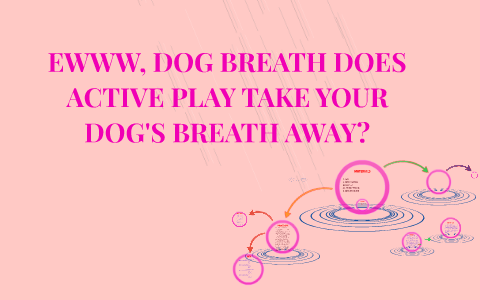 EWWW, DOG BREATH DOES ACTIVE PLAY TAKE YOUR DOG'S BREATH AWA by B'Jon ...