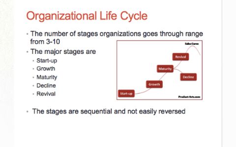 Organizational life Cycle by s d on Prezi