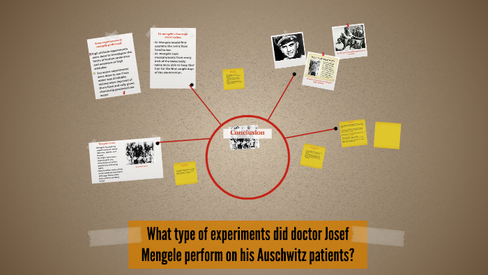 What type of experiments did doctor Josef Mengele perform on by Joey ...