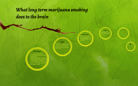 What long term marijuana smoking does to the brain by Josh Alarid