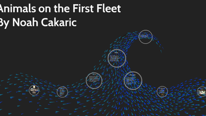 Animals on the First Fleet by Noah cak on Prezi