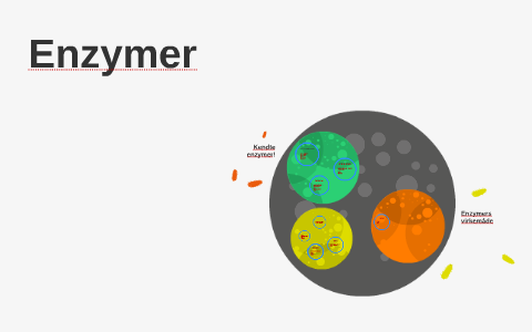 Enzymer, hvilke, og hvordan de virker. by Lasse Frank Jensen