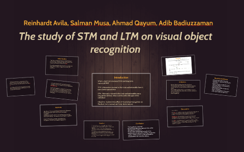 The study of STM and LTM on visual object recognition by Salman Musa on ...