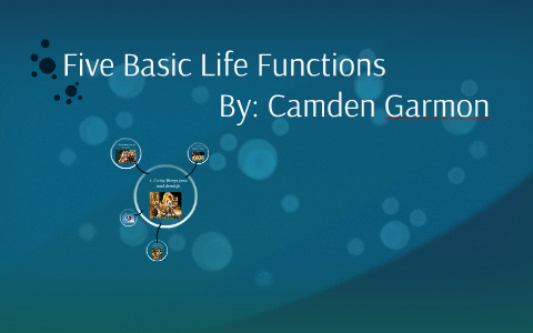 Five Basic Life Functions by REBECCA BAGGETT