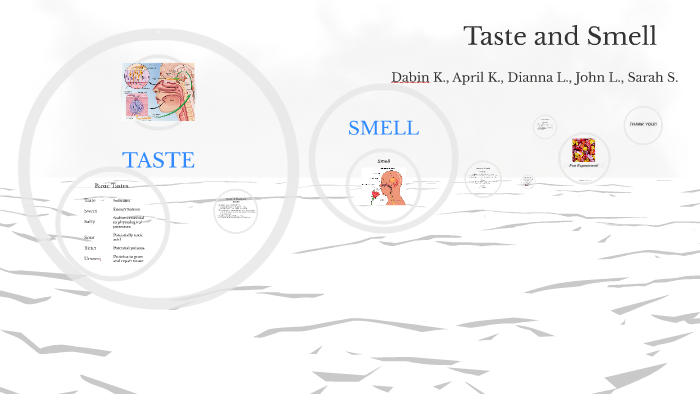 Taste and Smell Presentation by Dianna Lee on Prezi