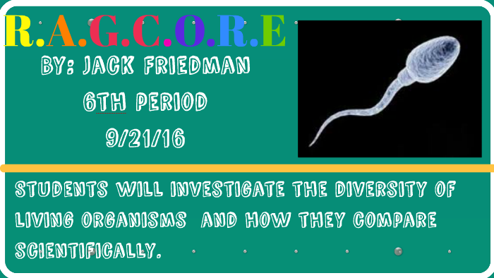 R.A.G.C.O.R.E by jack friedman on Prezi