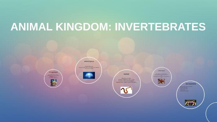 ANIMAL KINGDOM: INVERTEBRATES by LMT Y PM DE GERUSTACIA on Prezi