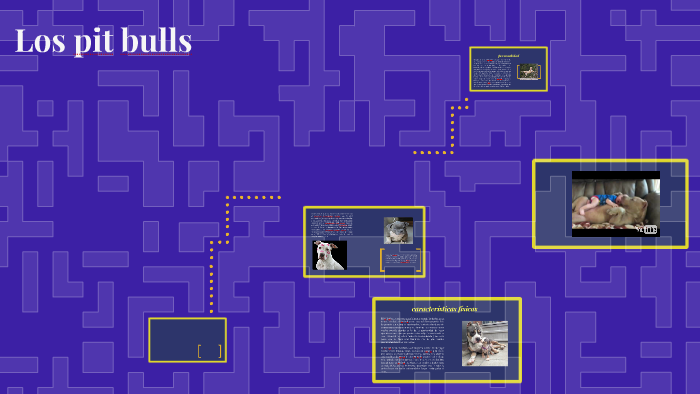 Los pit bulls by axel adonis arteaga cedeño on Prezi