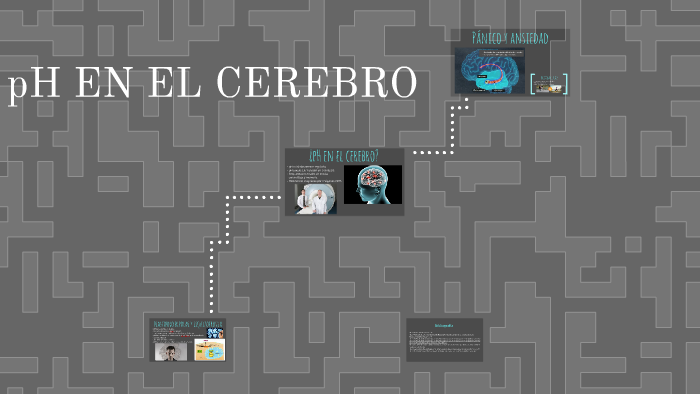 pH en el cerebro by Maria Sanchez Izquierdo on Prezi