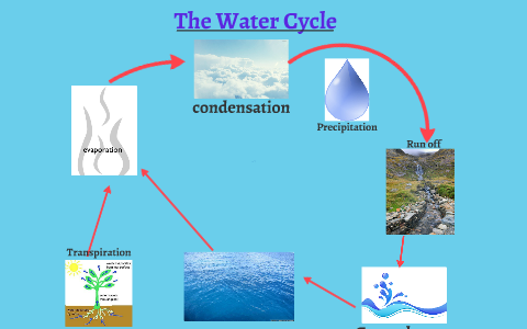 The Water Cycle by Lucas Royce on Prezi