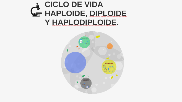 CICLO DE VIDA HAPLOIDE, DIPLOIDE Y HAPLODIPLOIDE. by Johan Sebastian ...