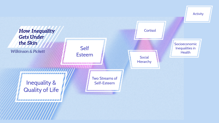 3382 How Inequality Gets Under the Skin by Caitríona McGlinchey on Prezi