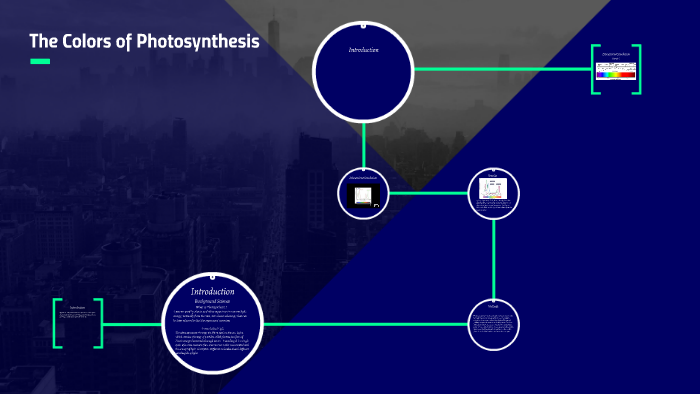 The Colors of Photosynthesis by Alexis Washington on Prezi