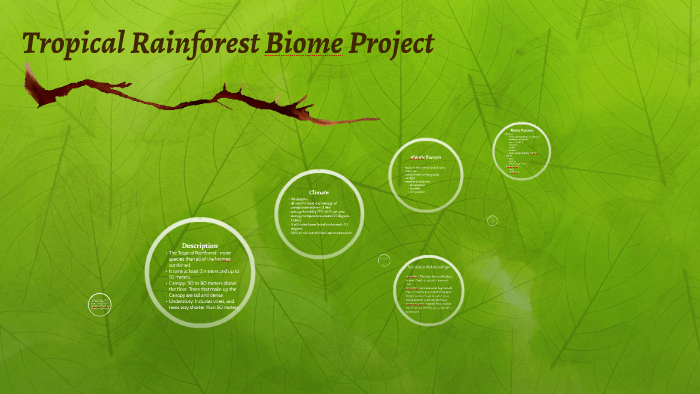 Tropical Rainforest Biome Project by Miriam Y. on Prezi