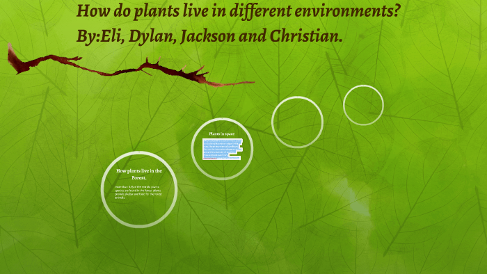 How do plants live in different environments? by Elijah schnorenbeerg ...