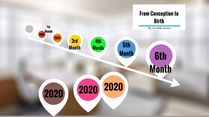 From Conception to Birth Timeline 4-23-19 by danielle nn on Prezi