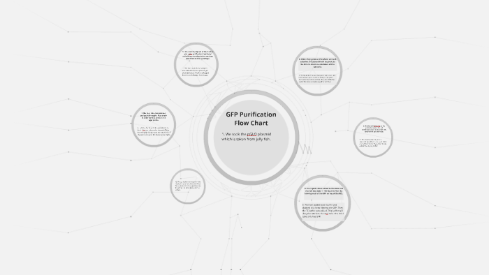 GFP Purification Flow Chart by tori love on Prezi