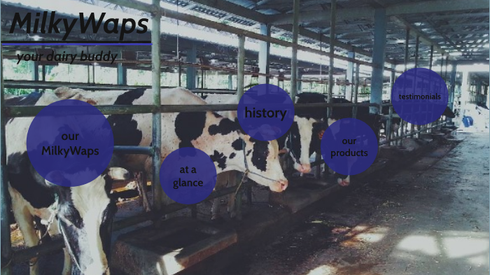 MilkyWaps by Firdha Aulia on Prezi