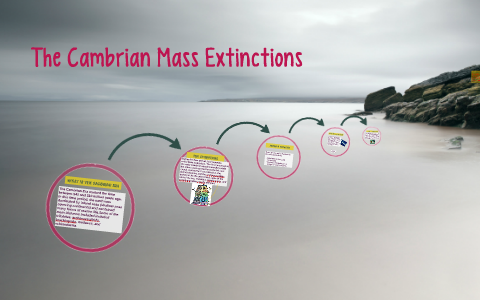 The Cambrian Mass Extinctions by Brandon Saunders on Prezi