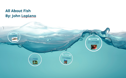 All About Fish by Andrea DeFeo on Prezi