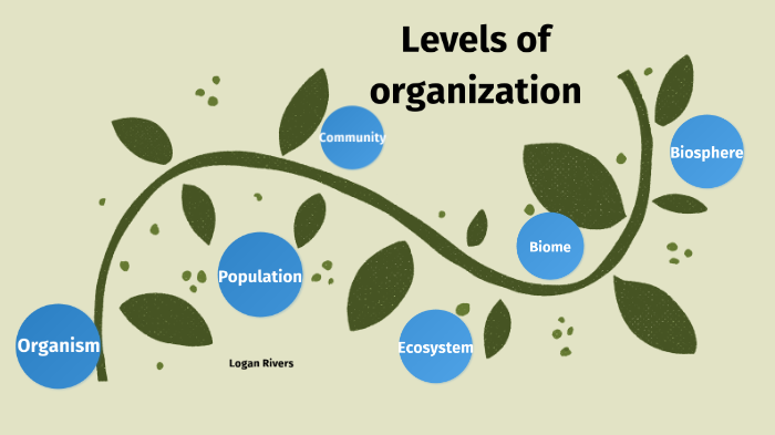 Levels of organization by Logan Rivers on Prezi