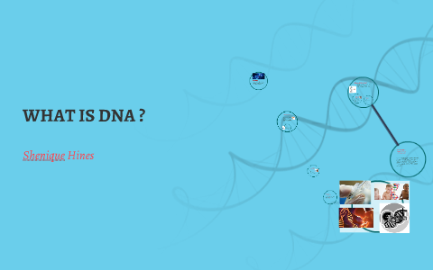 WHAT IS DNA ? by on Prezi