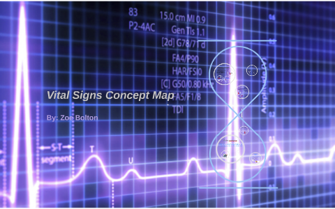 Vital Signs Concept Map by Zoe Bolton