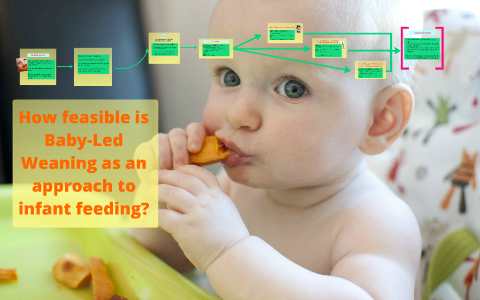 How feasible is Baby-Led Weaning as an approach to infant fe by Mónica ...