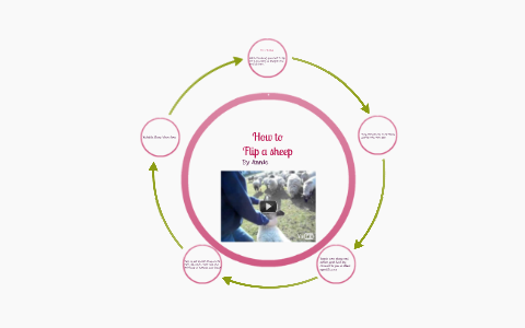 How to Flip a sheep by Annie Horse on Prezi