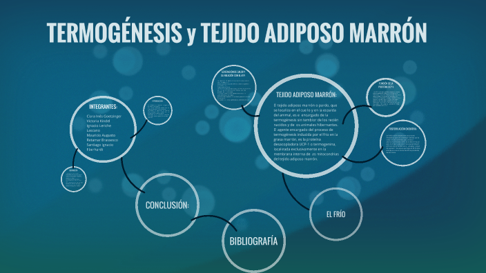 TERMOGÉNESIS by victoria kindel on Prezi