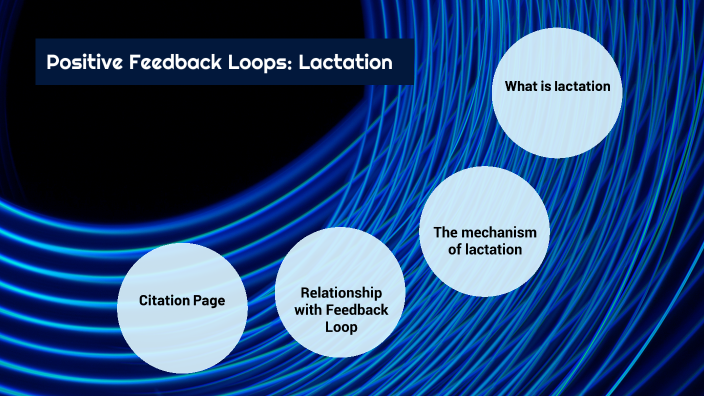 Positive Feedback Loop: Lactation by Mohamed Tandja on Prezi