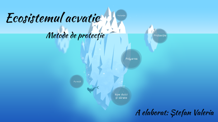 Ecosistem acvatic by Valeria Stefan on Prezi