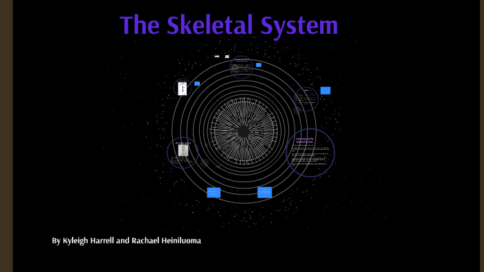 The Skeletal System by on Prezi
