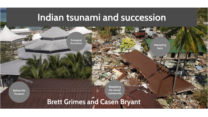 2004 indian ocean earthquake and tsunami before and after by TIMOTHY ...