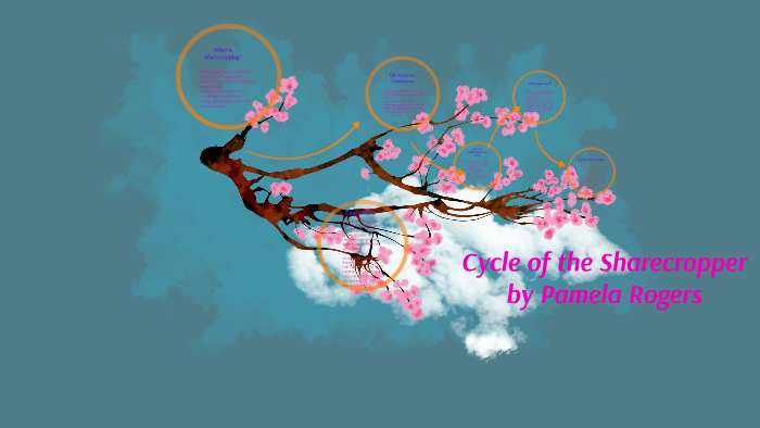 Cycle of a Sharecropper by Pamela Rogers on Prezi