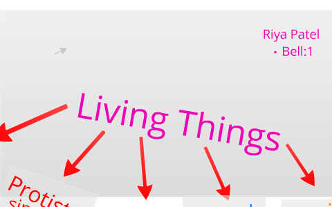 Life classification family tree by Riya Patel on Prezi