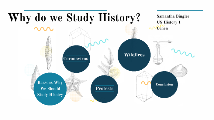 Why we Study History by Samantha Bingler on Prezi