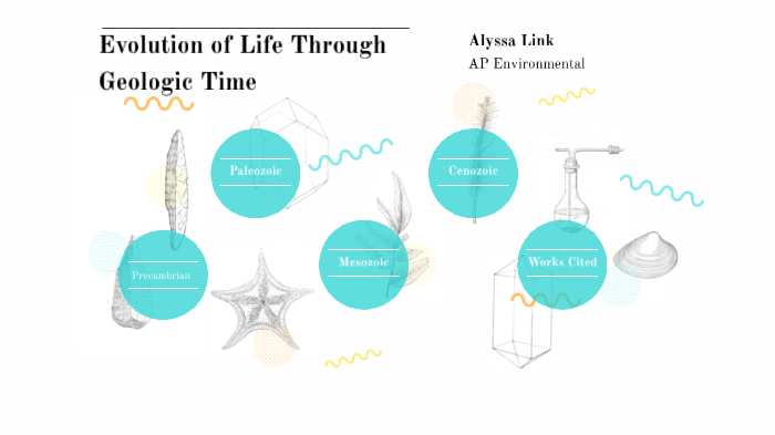 Evolution of Life Through Geologic Time by Alyssa Link on Prezi