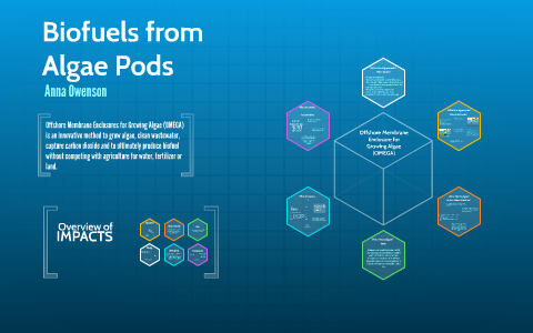 Algae Pods by Anna Owenson on Prezi