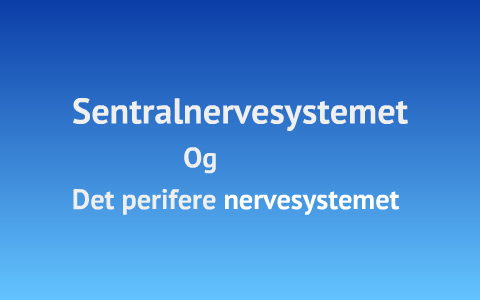 Sentralnervesystemet og det perifere nervesystemet by Eirik sivertsen ...