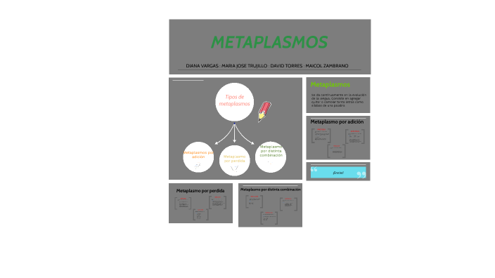 METAPLASMO by Diana Vargas on Prezi