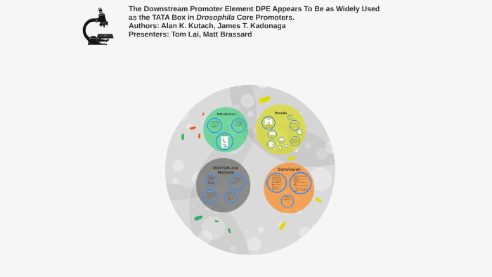 The Downstream Promoter Element DPE Appears To Be as Widely Used as the ...