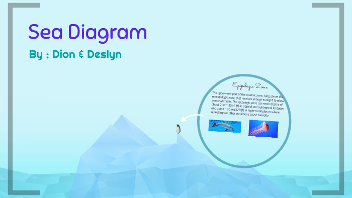 Sea Diagram by abby tang on Prezi