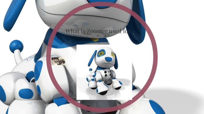 What is Zoomer used for by caelan markunas on Prezi