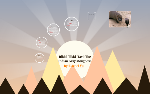 Rikki-Tikki-Tavi: The Mongoose by Rachel Vu