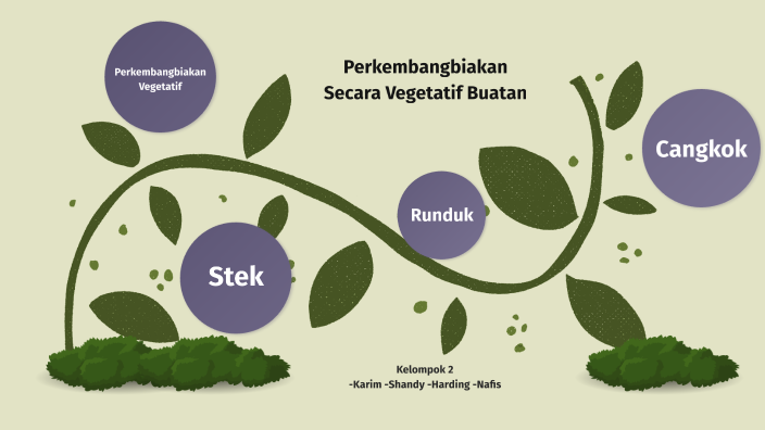 Perkembangbiakan Vegetatif Buatan by Muhammad Thariq Makarim on Prezi
